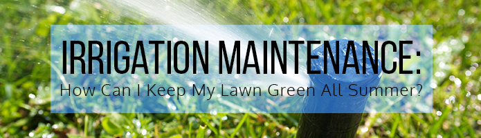 Irrigation Maintenance: How Can I Keep My Lawn Green All Summer ...